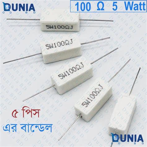 100 Ohm 5 Watt Five Watt Resistor ±5 100Ω 100 Ohms Ceramic Cement