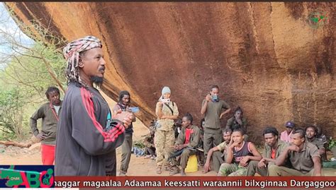 Oduu Waaree Onm Abo Caamsaa 30 2023 Qeerroo Bilisummaa Oromoo