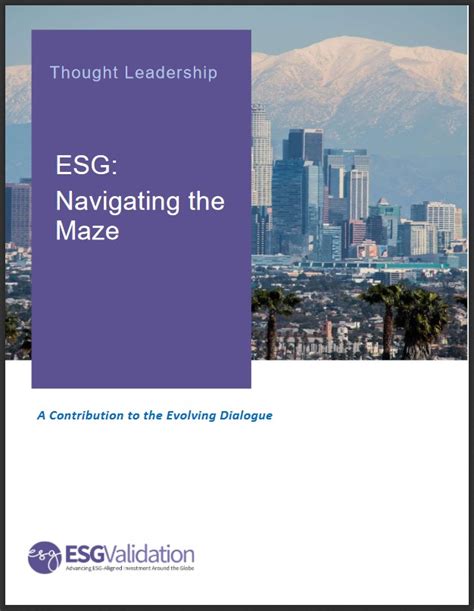 Esg Navigating The Maze Esg Validation
