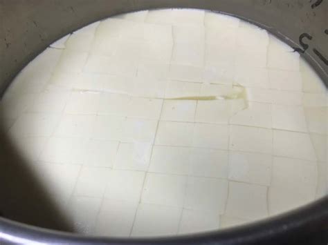 Edam Cheese Making Recipe Homemade Edam Cheese