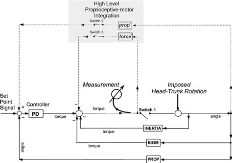 Dynamic Control Model Of Reflexive Head Stabilization Based On Earlier