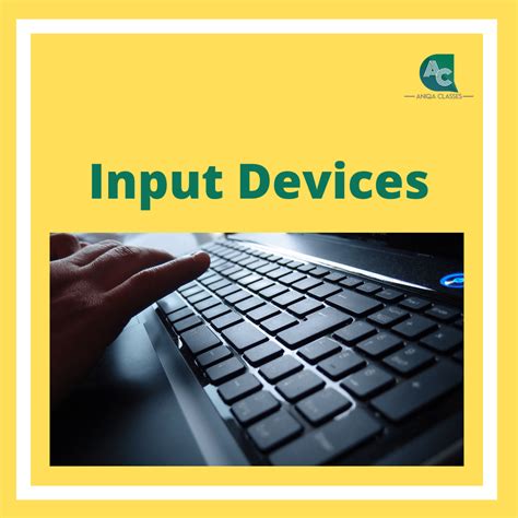 Input Devices In Computer With Picture In Hindi Aniqa Classes