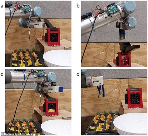 Gordon Rams Ai Scientists Develop A Robot Chef Big World Tale
