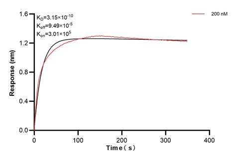 Fgfr3 Antibody 83402 1 Pbs Proteintech