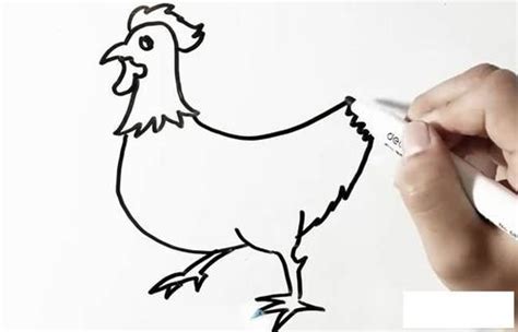 年画鸡的简笔画怎么画 天马图吧