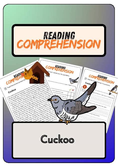 reading comprehension cuckoo solutions by learnplanet tpt