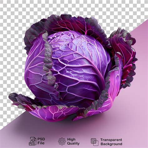 Page 9 Red Cabbage Sprouts Psd High Quality Free Psd Templates For