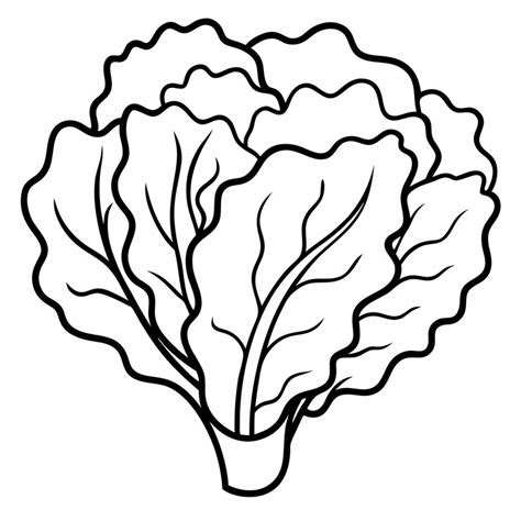 Lettuce Line Art Vector Outline Premium Ai Generated Vector