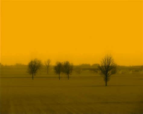 Verbania Davide Maria Coltro Lo Sguardo Lucente Paesaggi Mediali Ai Tempi Dellai