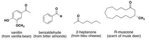 Write A Short Note On Aldehyde And Ketone Are Known For Their Sweet And