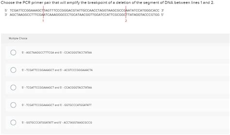Solved Choose The Pcr Primer Pair That Will Amplify The