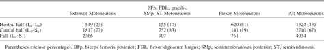 Table 1 From Spatiotemporal Activation Of Lumbosacral Motoneurons In