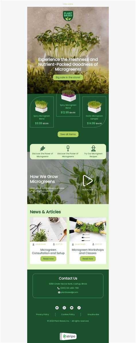 42 Emailer Designs Ideas Email Template Design Email Marketing Template Email Marketing Design