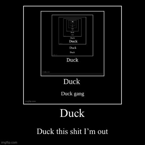 Duck Imgflip