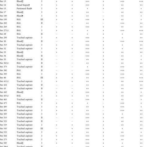 Sources Api 20ne Biocodes And Potential Virulence Factors Of S