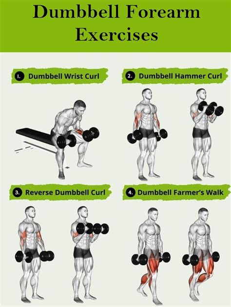 Dumbbell Forearm Exercises Forearm Workout Dumbbell Forearm Exercises Pull Day Workout