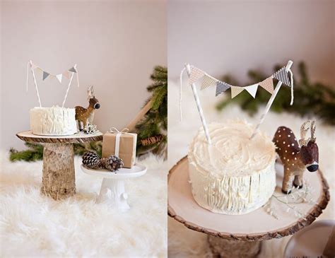 Winter Wonderland Cake Smash Winter Wonderland Cake Winter Cake