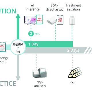 Schematic Representation Of The Case AI Artificial Intelligence RxT Download Scientific