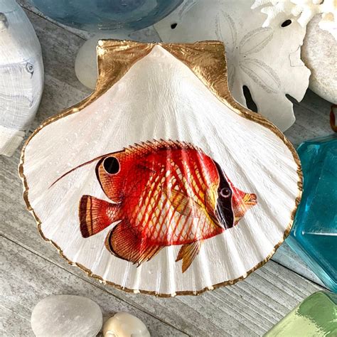 Seashell Decoupage Etsy