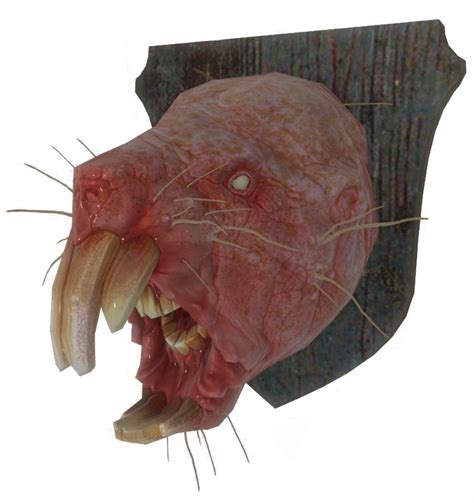 Mounted Molerat Head Independent Fallout Wiki