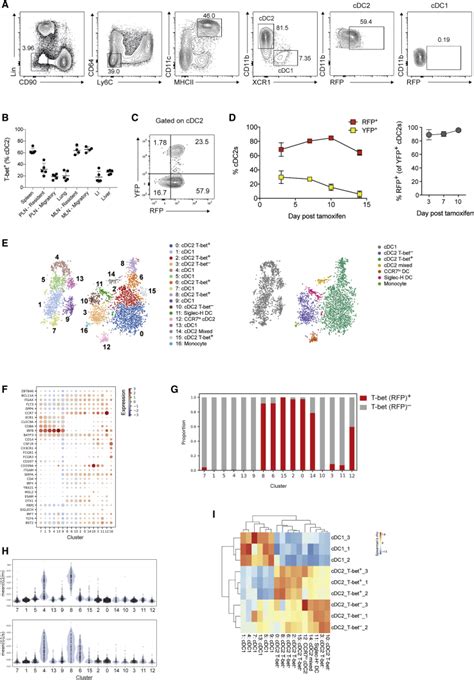 Mouse R26 Lsl Yfp Ai3 The Jackson Laboratory Bioz