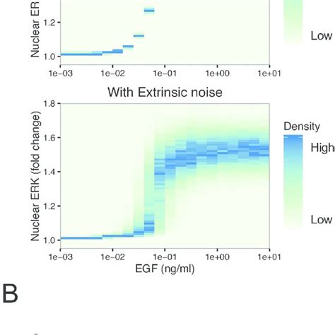 Effects Of Intrinsic And Extrinsic Noise On Heterogeneity In Nuclear