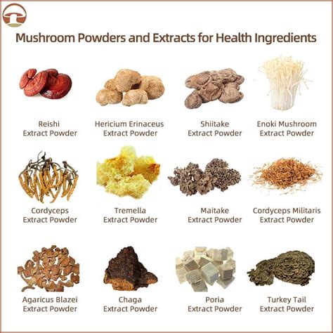 100 Natural 10 50 Polysaccharide Agaricus Blazei Mushroom Extract