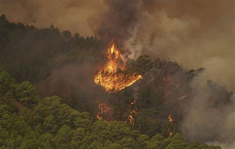 Ahora Que Han Quemado Más De 3200 Hectáreas Un Incendio Arrasa