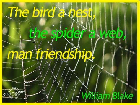 Bird Nest Quotes QuotesGram