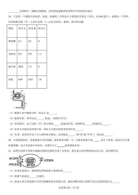 第5章人体的物质和能量的转化 同步练习题（含解析） 21世纪教育网
