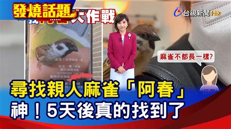 尋找親人麻雀「阿春」 神！5天後真的找到了【發燒話題】 20230221 【ttv發燒話題】尋找親人麻雀「阿春」 神！5天後真的找到了