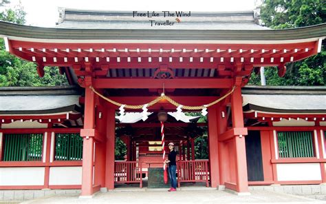日本山梨縣 河口湖站 漫步的好地方 淺間神社 FLTWT