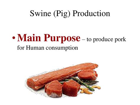 Ppt Swine Pig Production Powerpoint Presentation Free Download