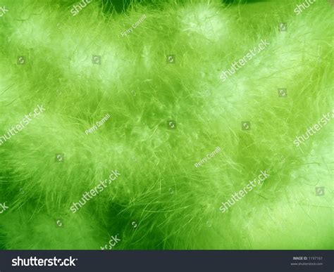 Bright Background Texture Of Feather Boa In Bold Chartreuse Color Stock