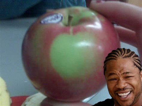 Image Xzibit Yo Dawg Know Your Meme