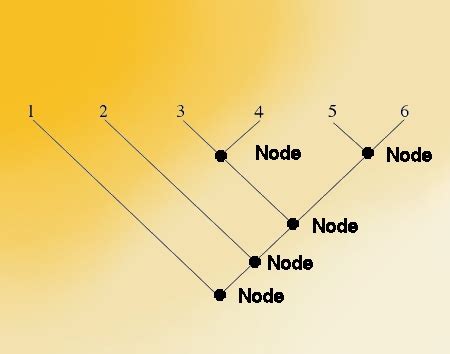 Node