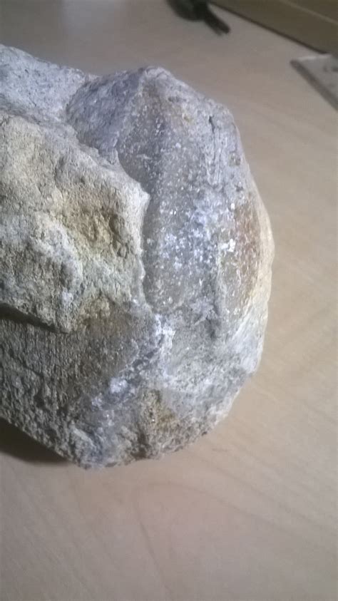 Jurassic Echinoids Dorset Fossil Id The Fossil Forum