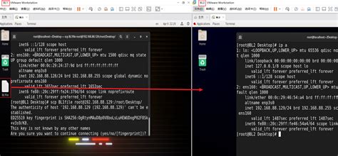 Linux文件传输：让数据飞起来！ Csdn博客
