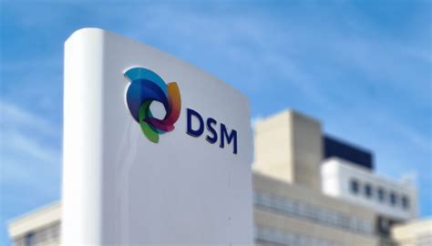 Dsm Netherlands Pension Fund De Unie