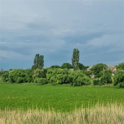 Premium Photo A Field With A Field And Trees In The Background