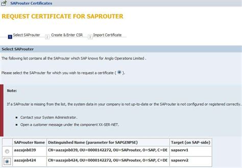 Snc Saprouter Step By Step Technical Guide 2025