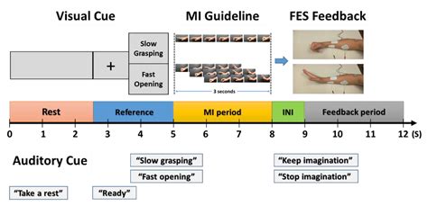 Functional Electrical Stimulation Fes Tbi Rehabilitation