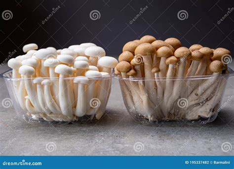 Shimeji Edible Mushrooms Native To East Asia Buna Shimeji Is Widely