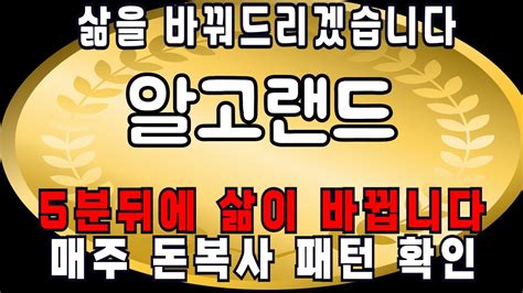 알고랜드 매주 아침이 개운하실겁니다 돈복사코인 공개 알고랜드알고랜드코인전망알고랜드코인 Youtube
