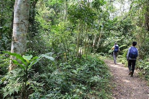 新溪洲山步道 健行筆記