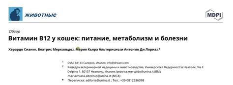 Витамин В12 у кошек, новая переведенная статья от 2023 года 李 | Юлия ...