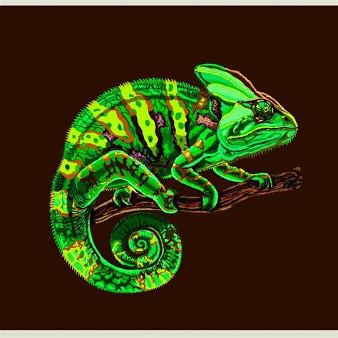 Artstation Chameleon Art