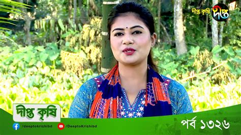Deepto Krishi কচুরিপানা দিয়ে কাগজ তৈরির অবিশ্বাস্য পদ্ধতি