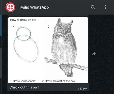 How To Send A Picture On WhatsApp Using Twilio And JavaScript Twilio