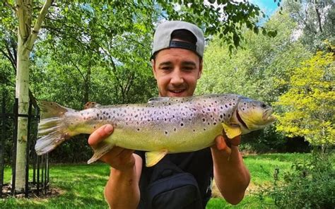 Trout Fishing On Lures A First Hand Guide Predator Fishing World